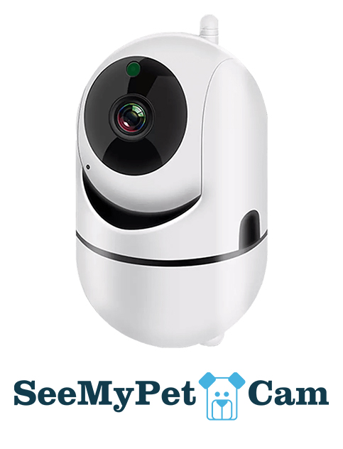 TOP 5 Pet Cameras - Home